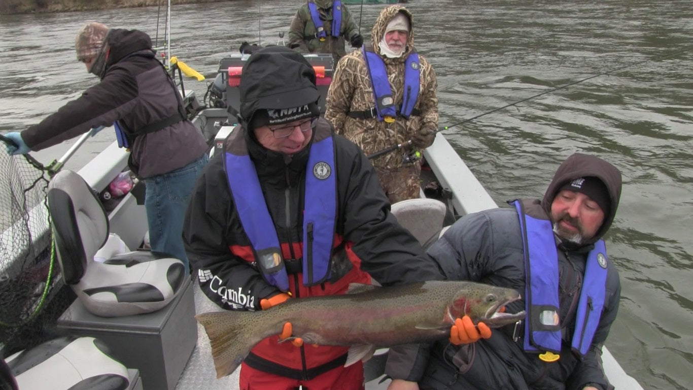 Clearwater B-Run Steelhead – NWFtv