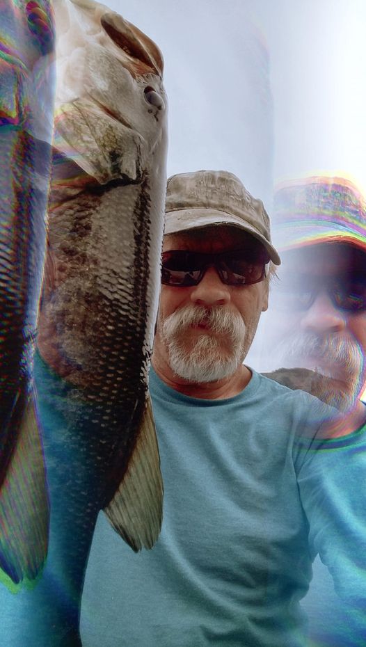 My Top 8 Summer Bass Fishing Patterns – NWFtv