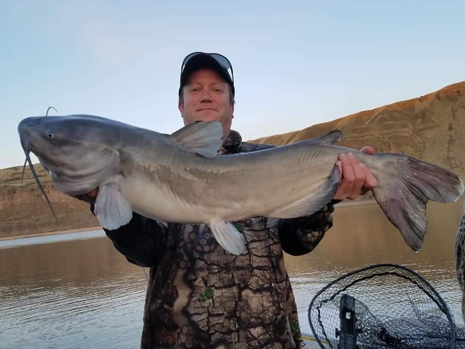 Catfishing in Washington By Josh DeBruler – NWFtv