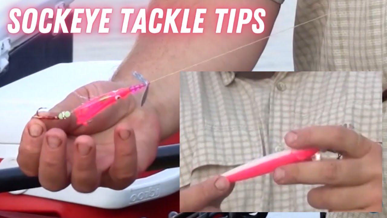 Sockeye Salmon Fishing Setups – NWFtv
