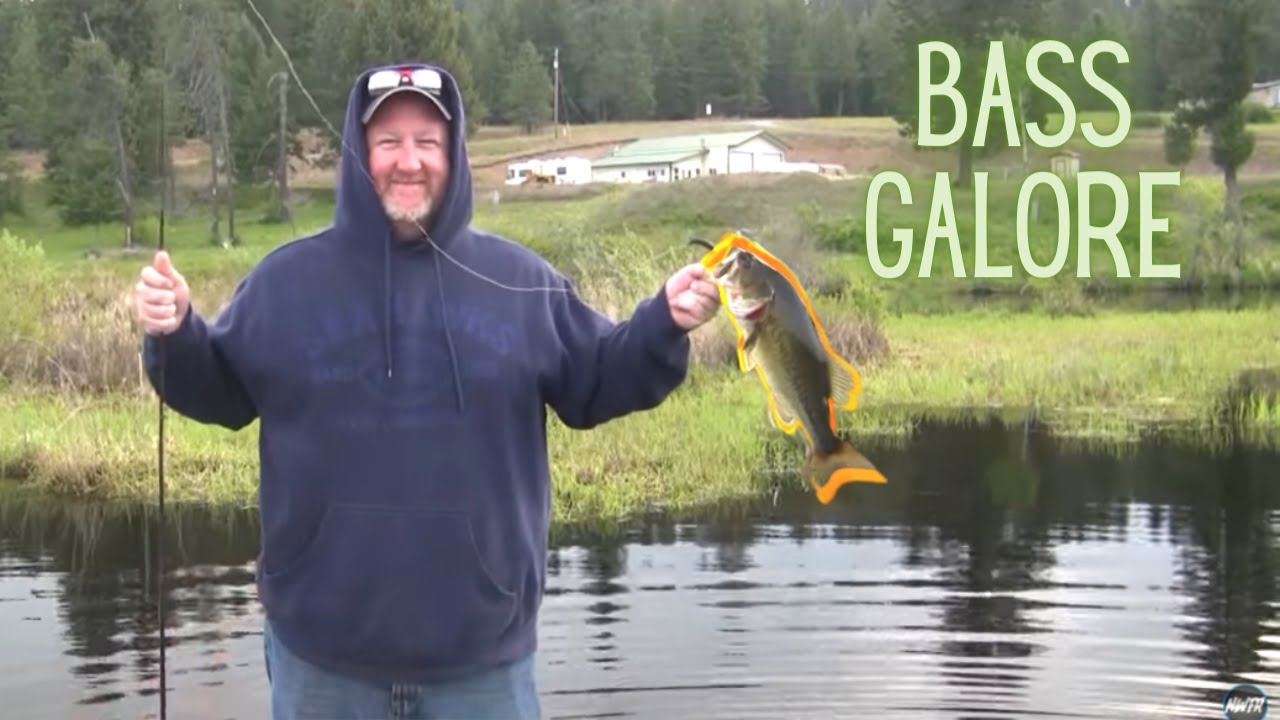 Spring Bass Fishing on Eloika Lake – NWFtv
